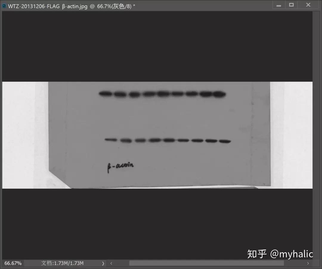 WB图片处理-教你利用Photoshop做出符合杂志要求的WB图片！ - 知乎