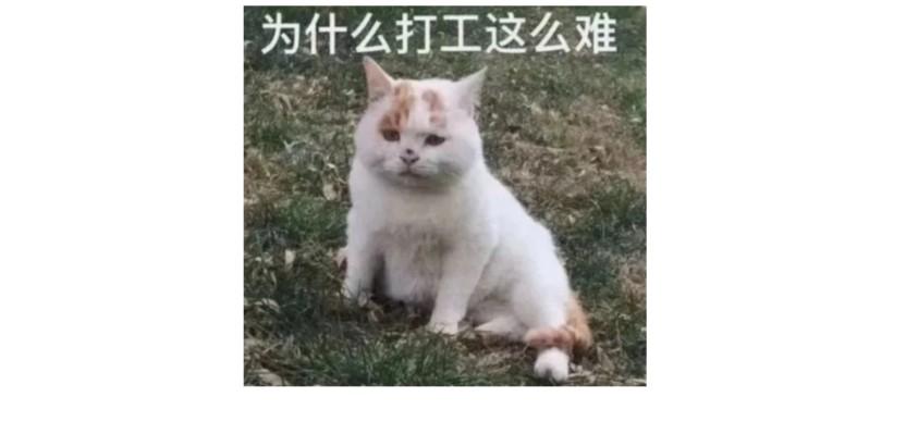 【一库】semver：语义版本号标准 + npm的版本控制器 - 知乎