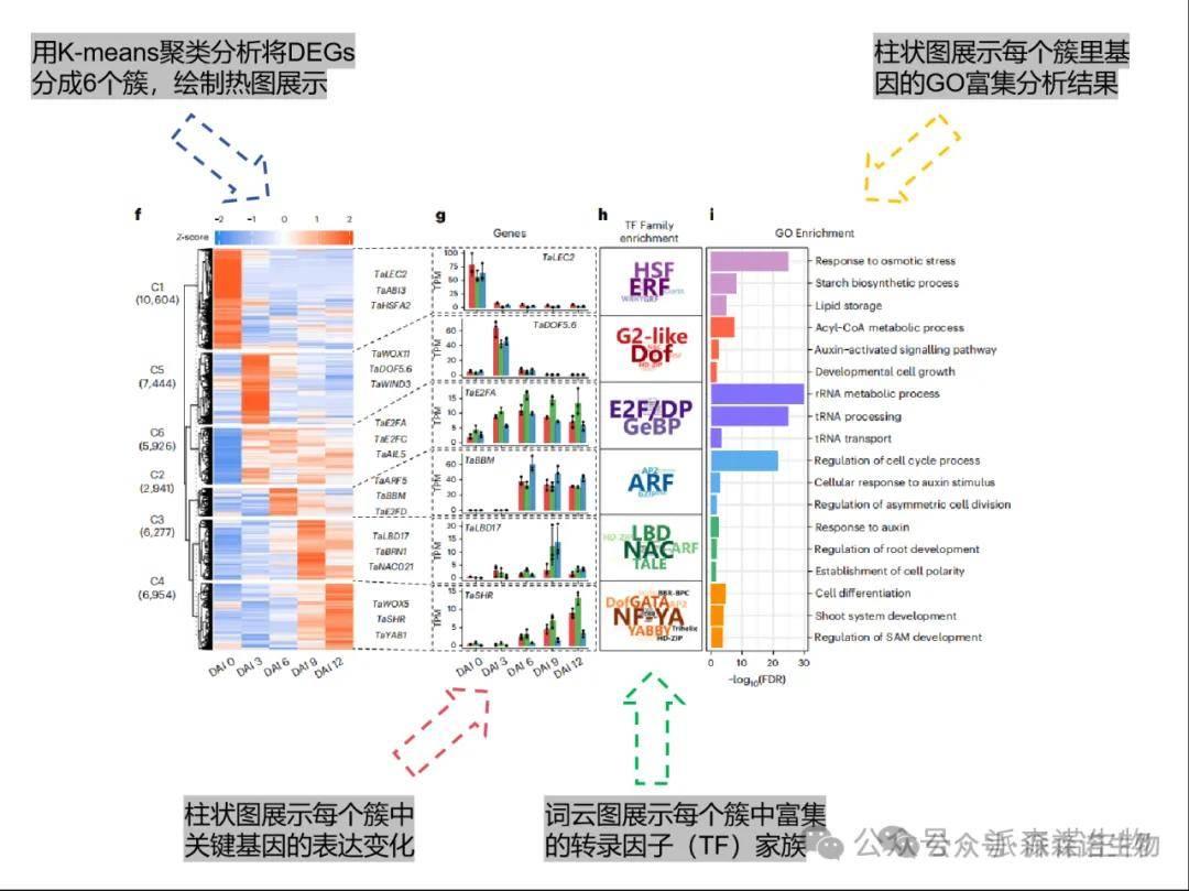 干货分享 | 顶刊图表拆解手册：Nature Plants/NC/JHO 常见生信图一眼看懂，科研人必备！ - 知乎