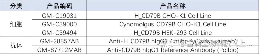 CD79b：B细胞信号传导与疾病治疗的核心密码 - 知乎