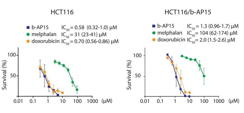 技术|如何构建肿瘤耐药细胞系 - 知乎