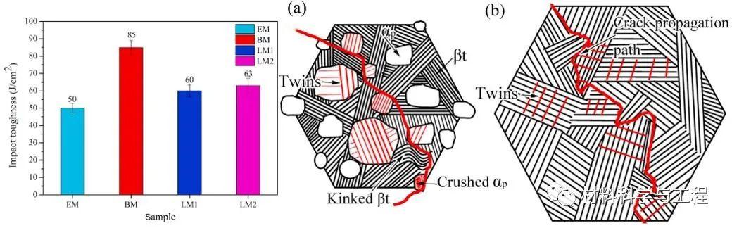 5篇《JMST》《MSEA》《MC》！钛合金的冲击韧性研究成果速递 - 知乎