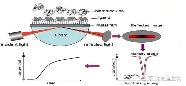 SPR检测原理 - 知乎