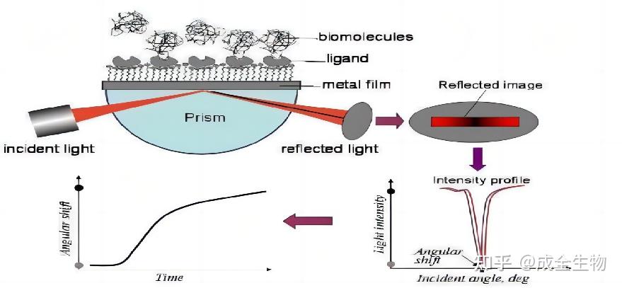 SPR检测原理 - 知乎