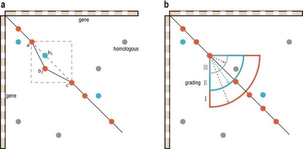 Mol Plant | WGDI：用于基因组复制和核型进化分析的工具包 - 知乎