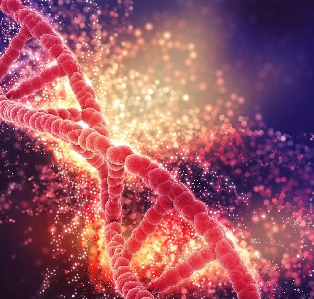 nmn的功效与作用价格，nmn12000的价格是多少，这些你真的了解吗？ - 知乎