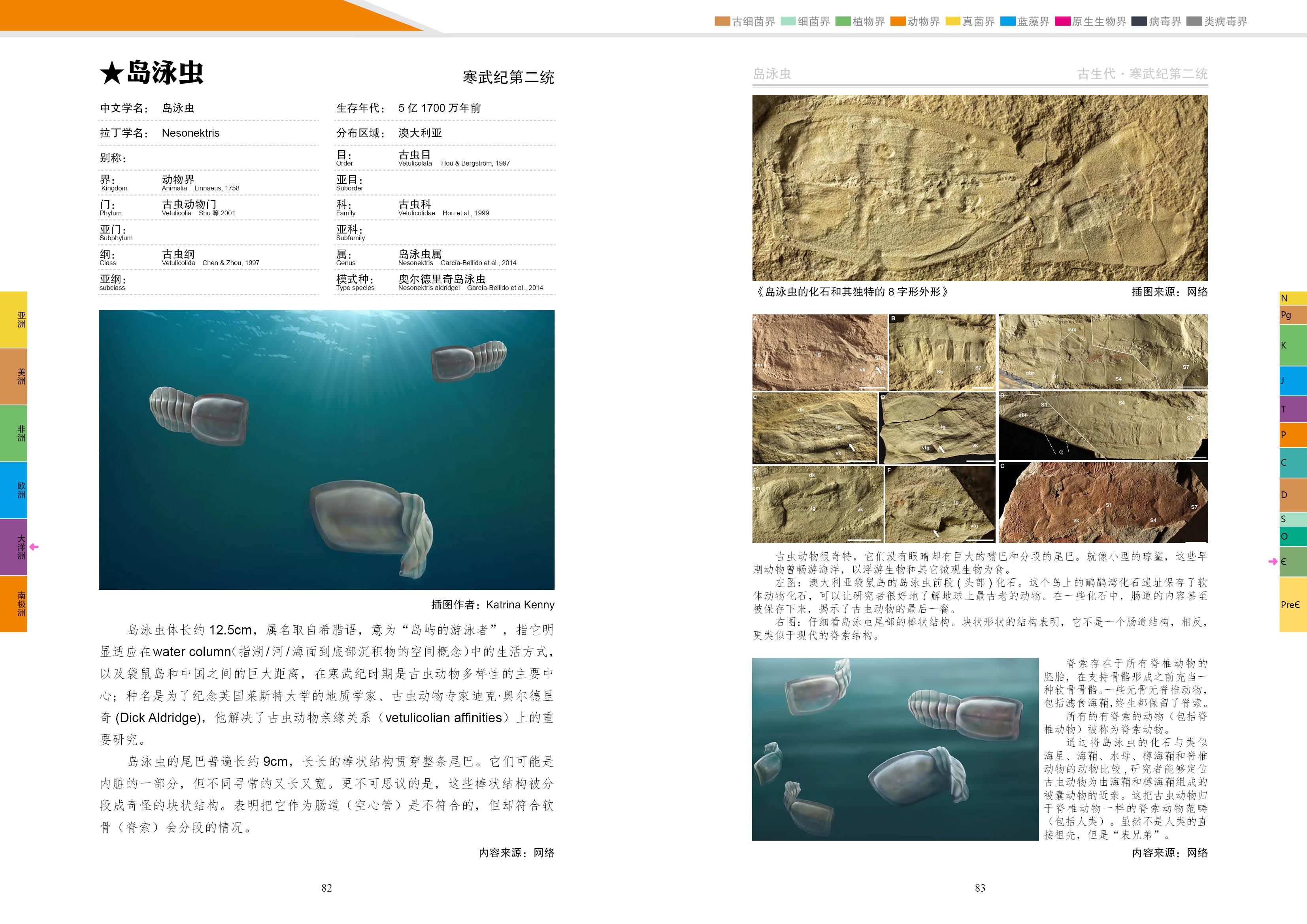 《生物简史图鉴》古虫动物门01 - 知乎