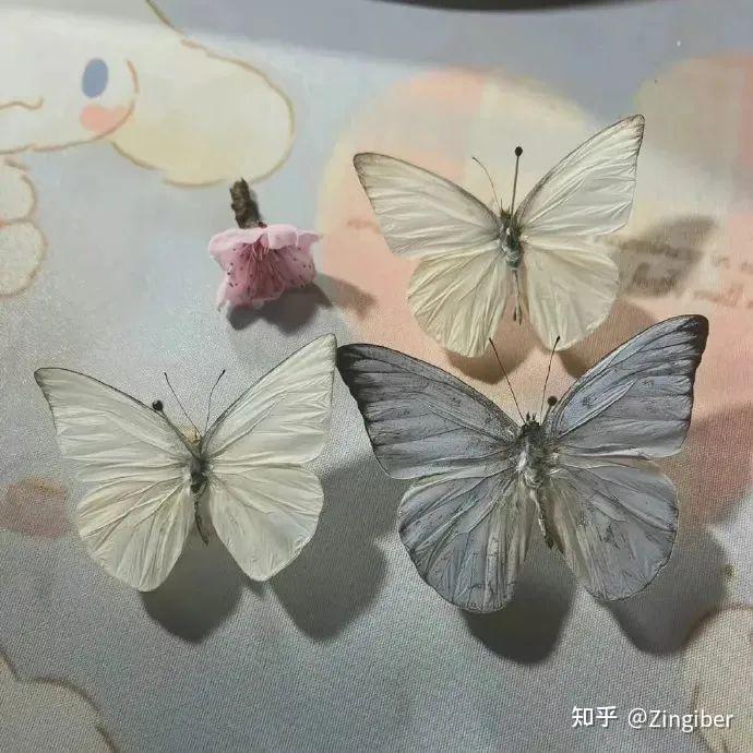 大脑变聪明的14个秘诀,教孩子正确使用大脑 知乎