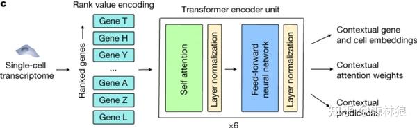 开源GPT？nanoGPT啃代码记实（一） - 知乎
