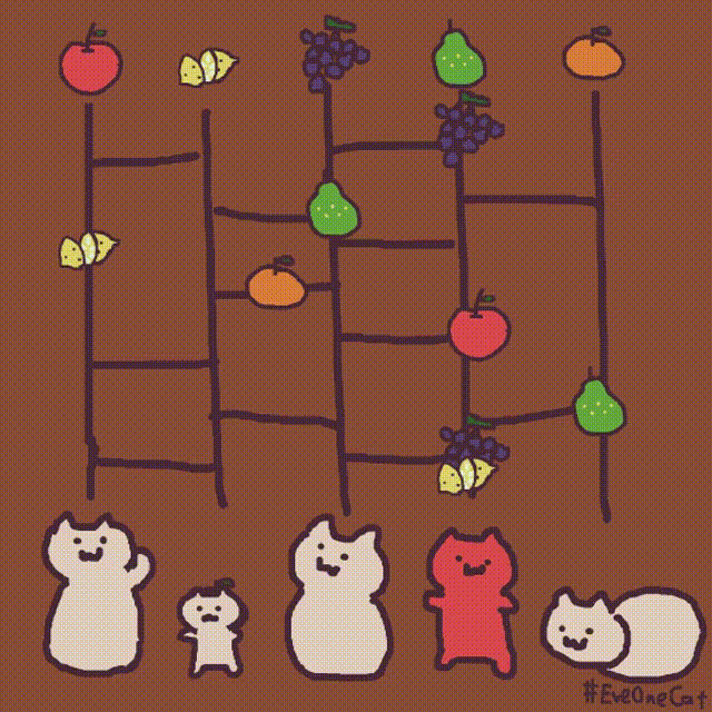 魔性猫猫everyday one cat 表情包 - 知乎