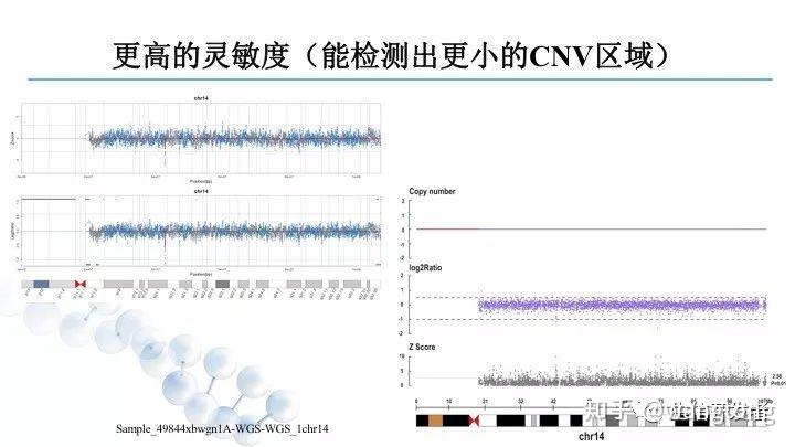 CNV数据分析 - 知乎