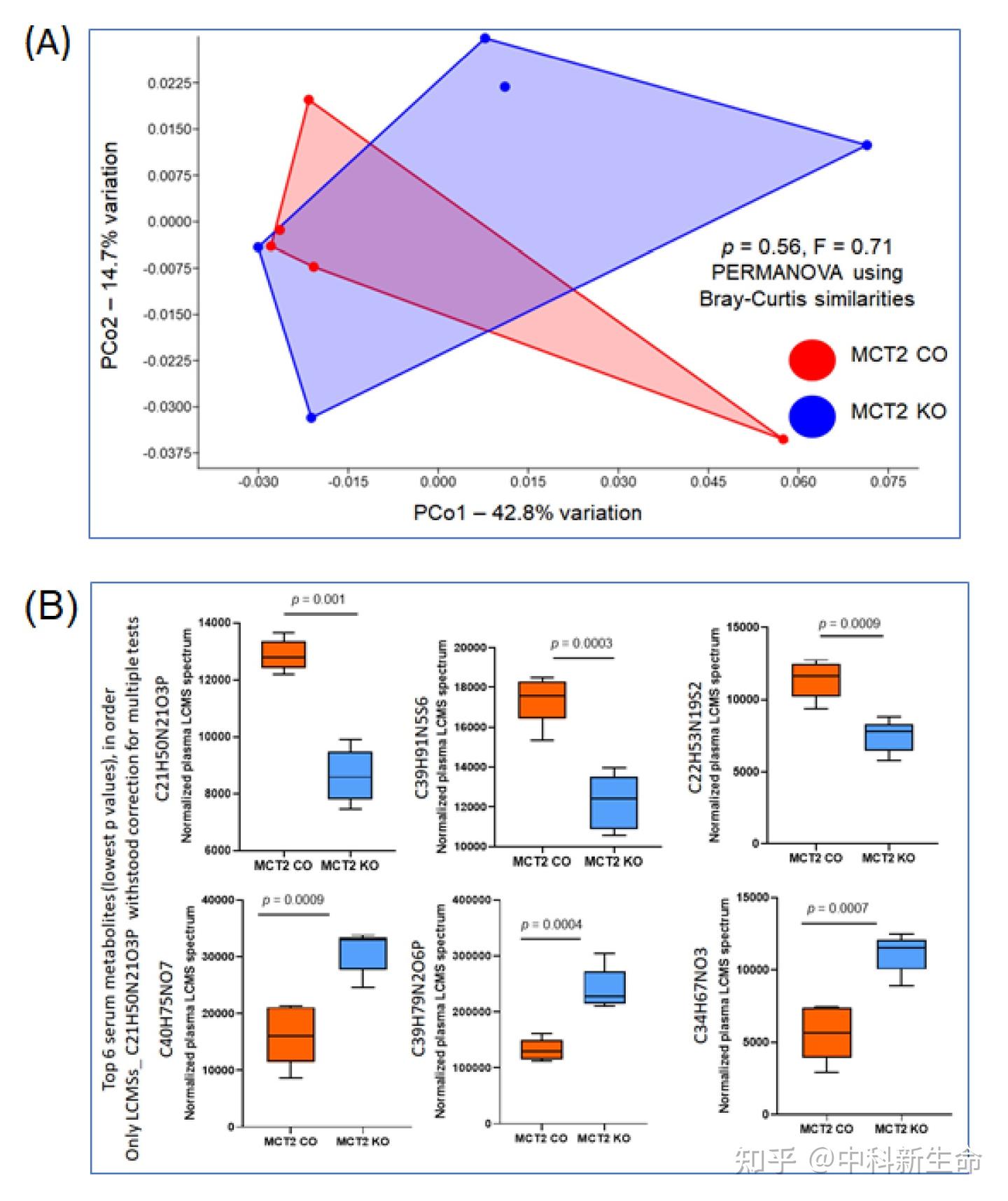 Int J Mol Sci｜多组学揭示MCT2限制肺癌小鼠模型中的肿瘤生长 - 知乎