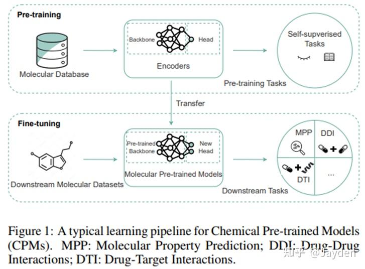 [IJCAI 2023] 化学小分子预训练模型(Chemical Pre-trained Models, CPMs)首篇综述 - 知乎