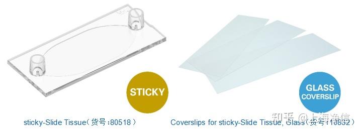 耗时且难复制的实验工作流程让ibidi sticky-Slide Tissue简化且标准化您的组织染色方案！ - 知乎