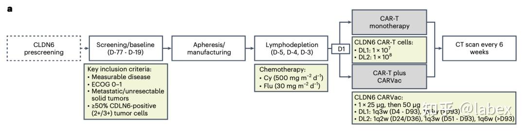 实体瘤CAR-T细胞疗法Claudin-6临床研究中的IL-6 - 知乎
