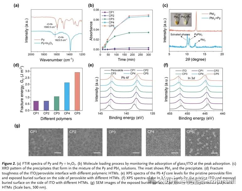 华东理工大学吴永真-最新Angew-效率26.21%-可锚定聚合物助力高效倒置钙钛矿电池实现超薄且坚固的空穴传输层 - 知乎