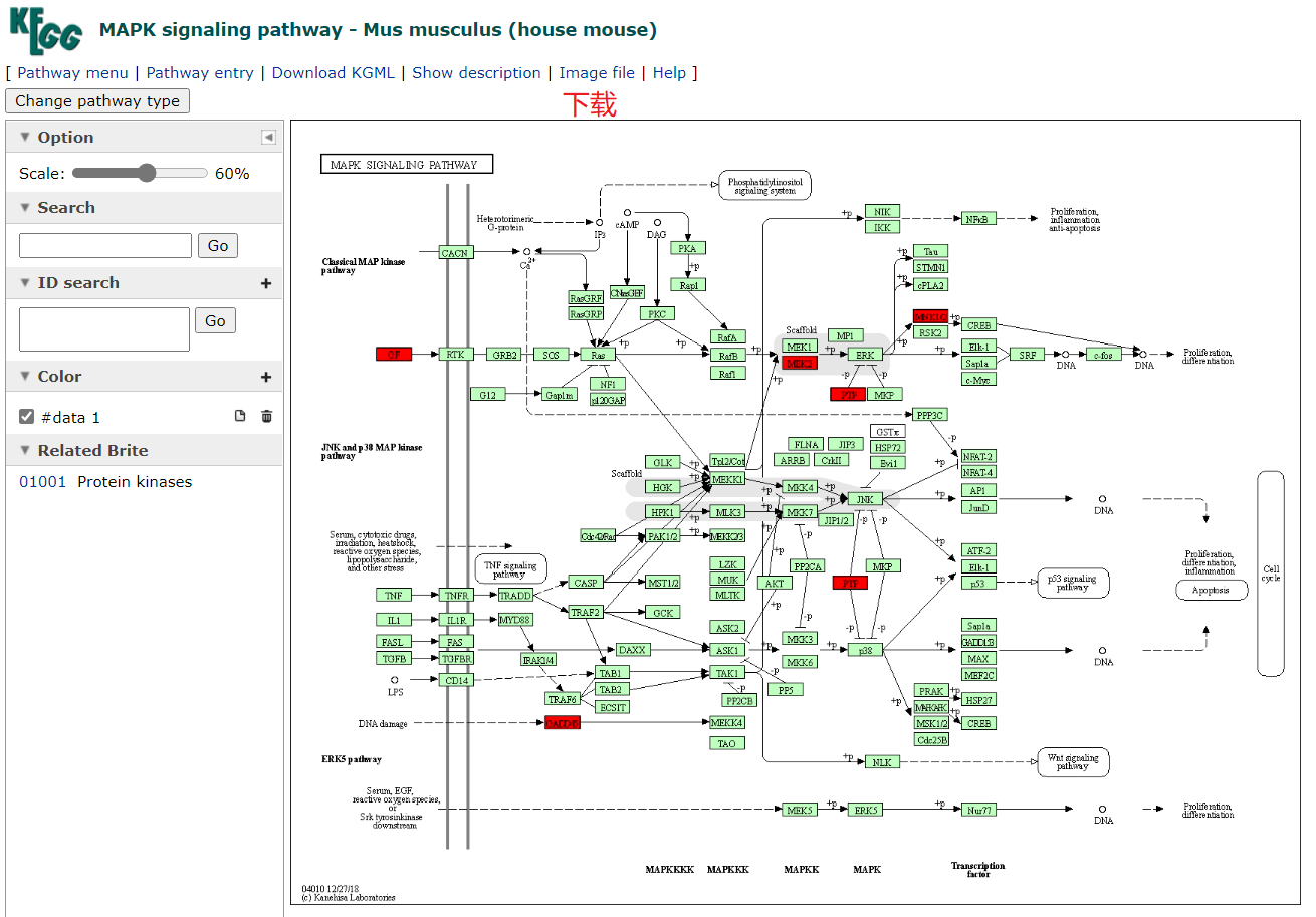 手把手教你给KEGG pathway图标注颜色 - 知乎