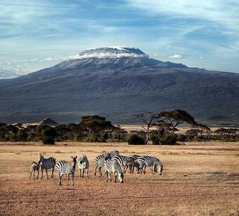 办1张肯尼亚签证去非洲大草原看10万动物大迁徙是一种什么样的奢华体验？ - 知乎