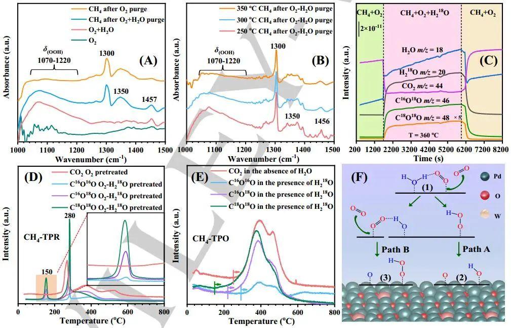 清华王定胜团队，今年第五篇Angew.！ - 知乎