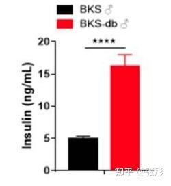 DB/DB MICE——自发性Ⅱ型糖尿病小鼠 - 知乎
