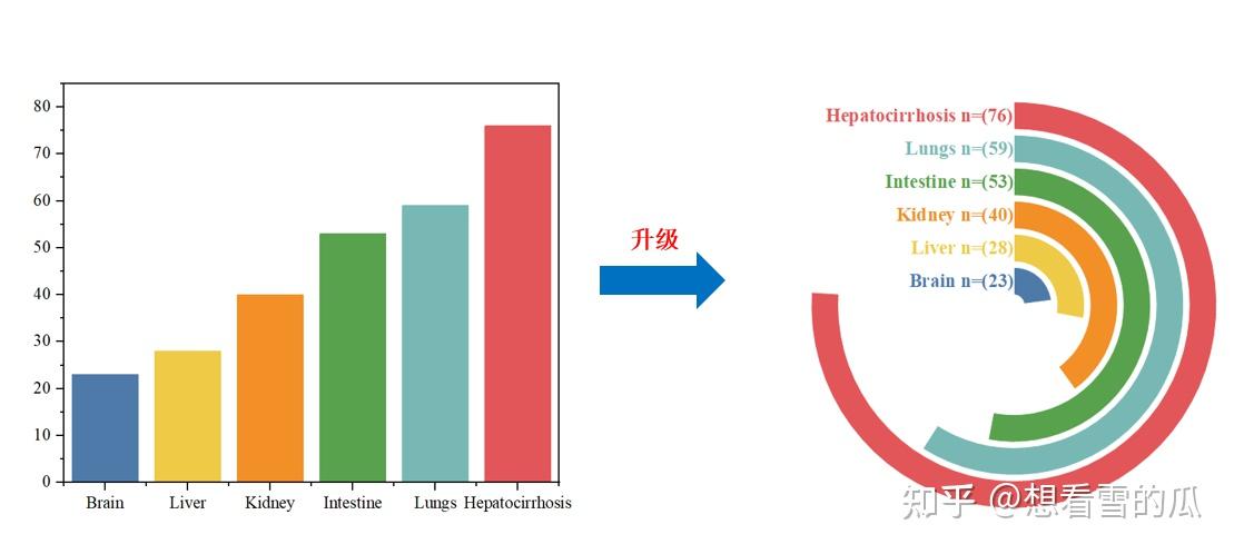 Origin将普通柱状图升级为环形柱状图 - 知乎