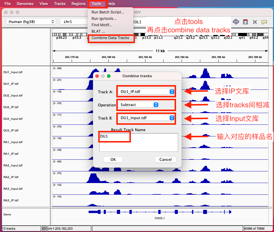 易基因 | 生物信息学：igvtools使用文档 - 知乎