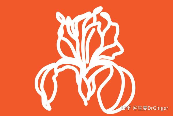 鸢尾花书book 1《编程不难》上传草稿 知乎