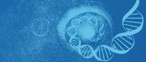 【单细胞】R的seurat对象和python的h5ad对象互转 - 知乎