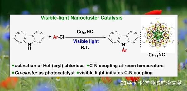 Magnus Rueping课题组：可见光/铜纳米团簇催化芳基氯化物的C-N键偶联反应 - 知乎