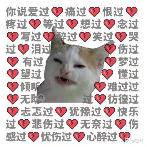 发疯表情包 - 知乎