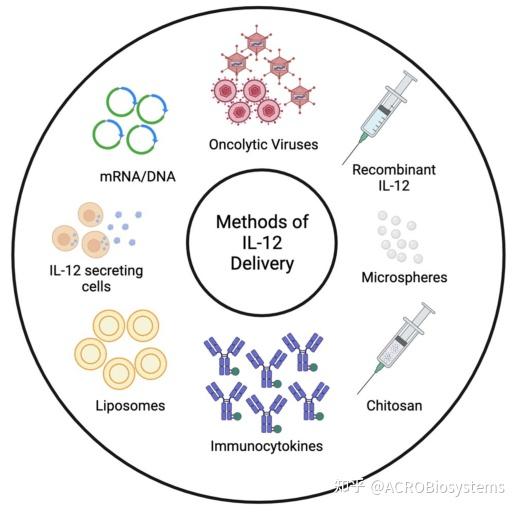 【靶点新势力】IL-12，从零星变好到星河闪耀 - 知乎