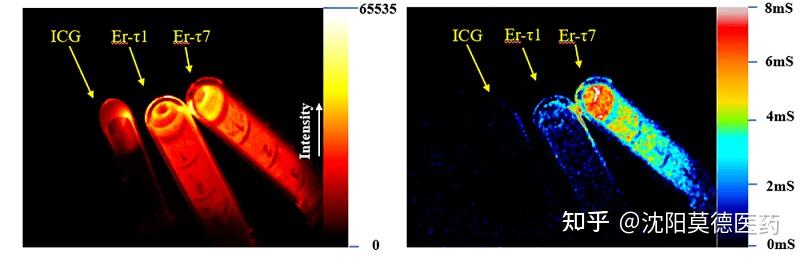 【NIR-II近红外二区成像】近红外二区小动物活体成像在肿瘤诊疗中的应用综述 - 知乎
