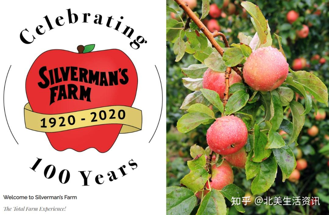 苹果熟啦！纽约周边10大最火苹果农场！ - 知乎
