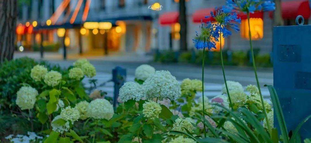 3组惊艳的4k【ipad平板壁纸】 - 知乎