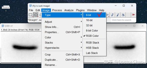 Western blot实验技巧之蛋白样品制备、SDS-PAGE胶制备、跑电泳、转膜、孵育抗体、显影和ImageJ分析（来自一位可稳定重复WB结果的科研狗之四年经验总结） - 知乎