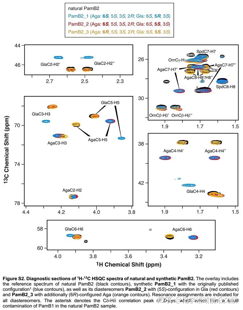 JACS：多肽Paenilamicins的全合成及生物活性研究 - 知乎