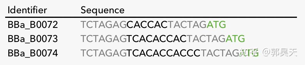 Ailurus Hub | 常用核糖体结合位点RBS介绍 - 知乎