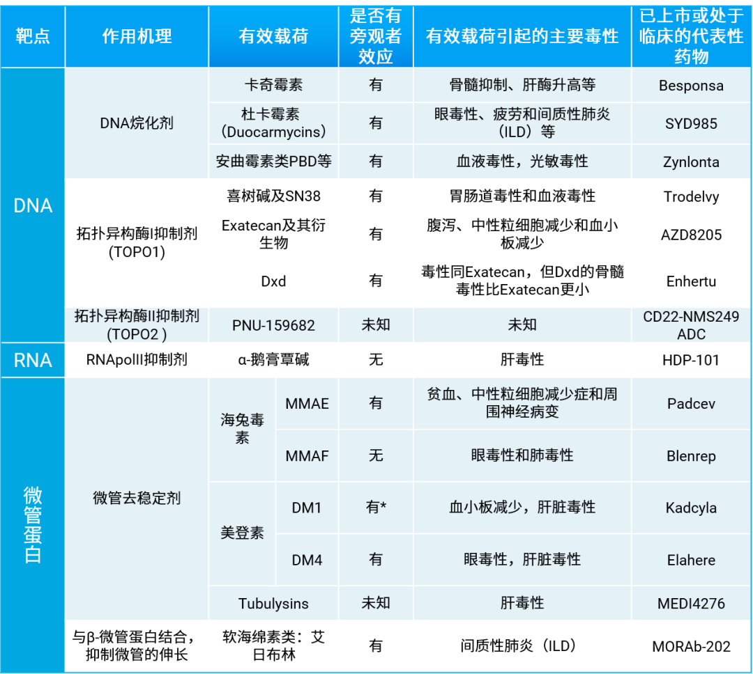ADC有效载荷（Payload）的发展及其药代动力学考量 - 知乎