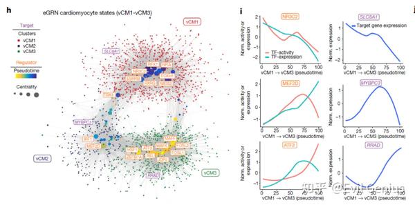 单细胞多组学（RNA + ATAC）联合分析的智慧 - 知乎