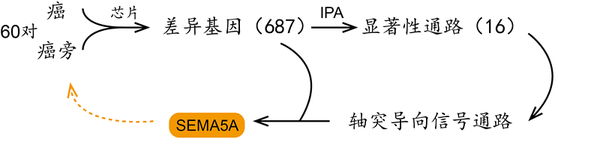 一文掌握GO和pathway分析 - 知乎