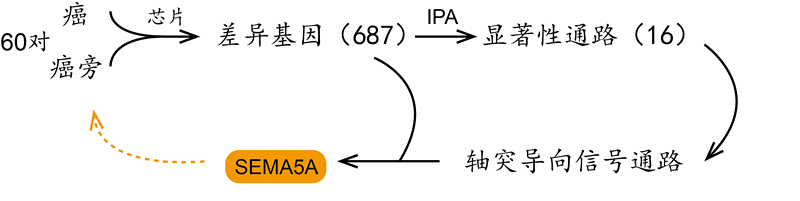 一文掌握GO和pathway分析 - 知乎
