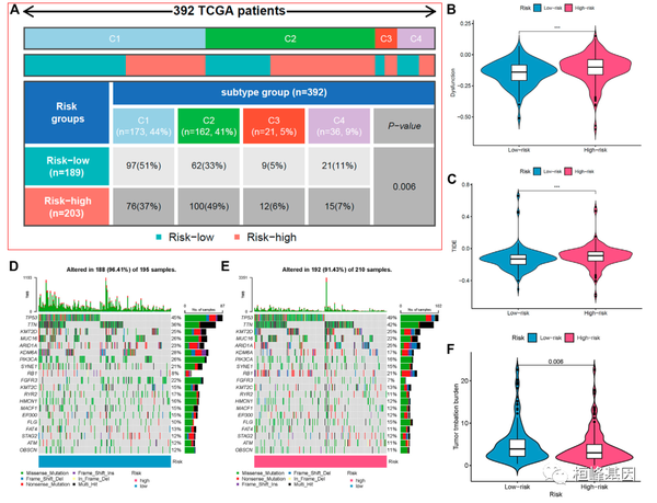 FigDraw 18. SCI 文章绘图之矩形树状图 (treemap) - 知乎