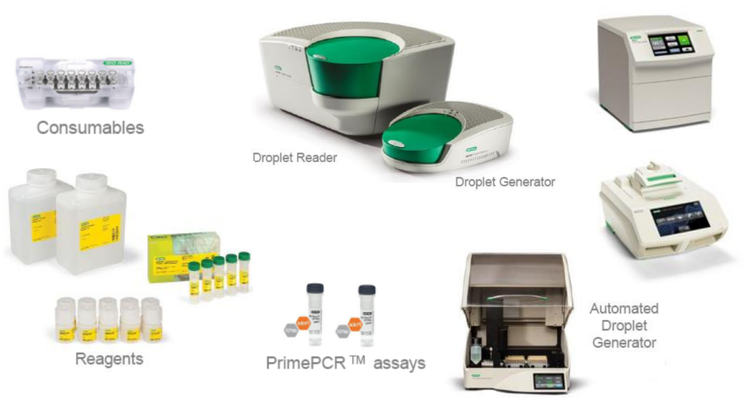 微液滴数字PCR之伯乐QX200 - 知乎