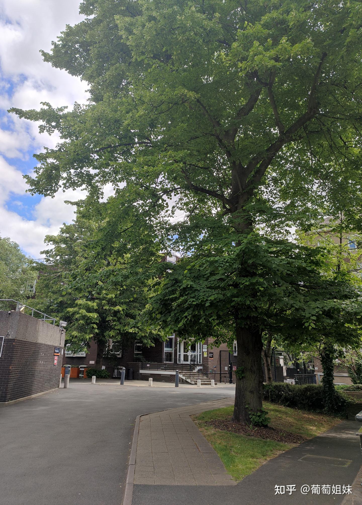 UCL max rayne house宿舍 - 知乎