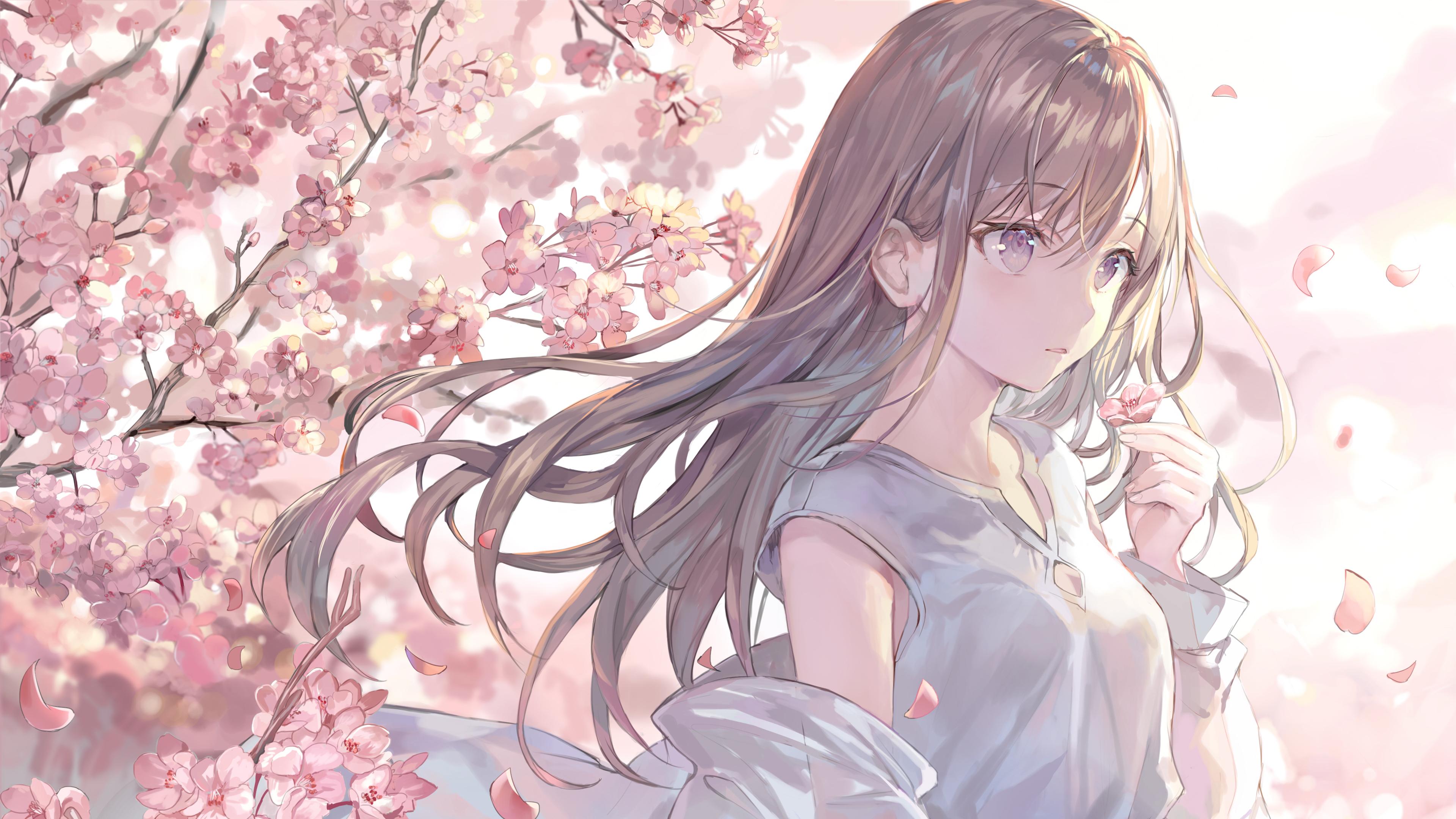 分享一些珍藏多年的高清4K壁纸 - 知乎