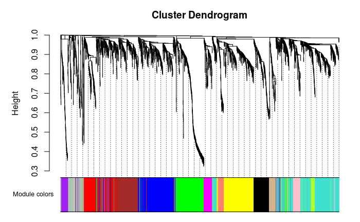 WGCNA分析，简单全面的最新教程 - 知乎