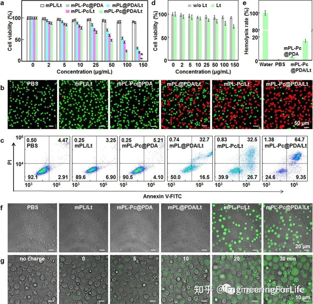 《CEJ》：双动力驱动Janus纳米马达用于癌症治疗 - 知乎