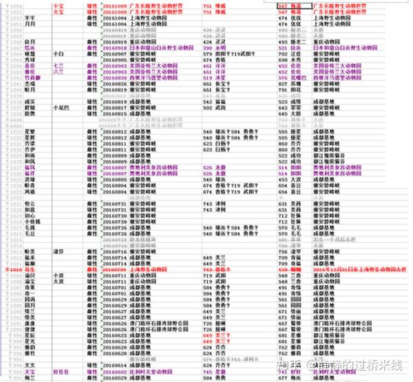 关于大熊猫的10 个要点,你可能还不知道 知乎