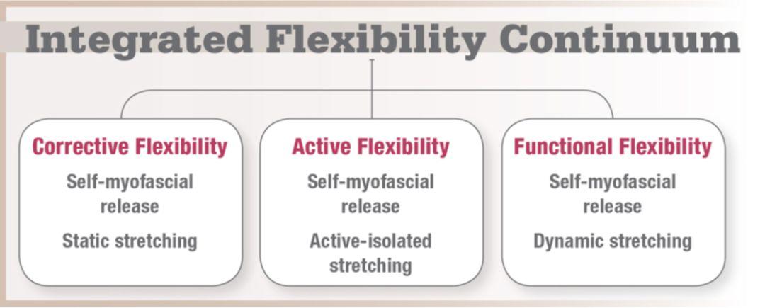 NASM专栏 | 改善柔韧性，提高训练峰值 - 知乎