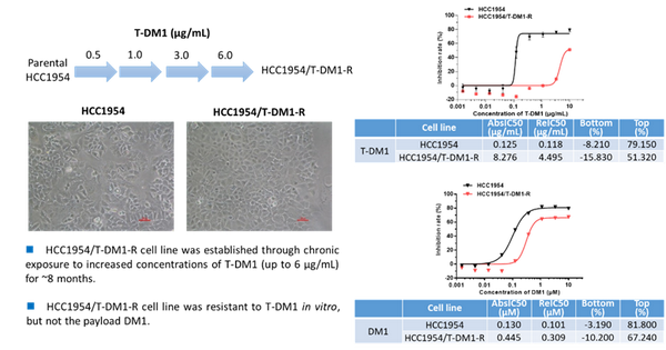 挑战肿瘤耐药难题：耐药模型构建策略与案例分享 - 知乎